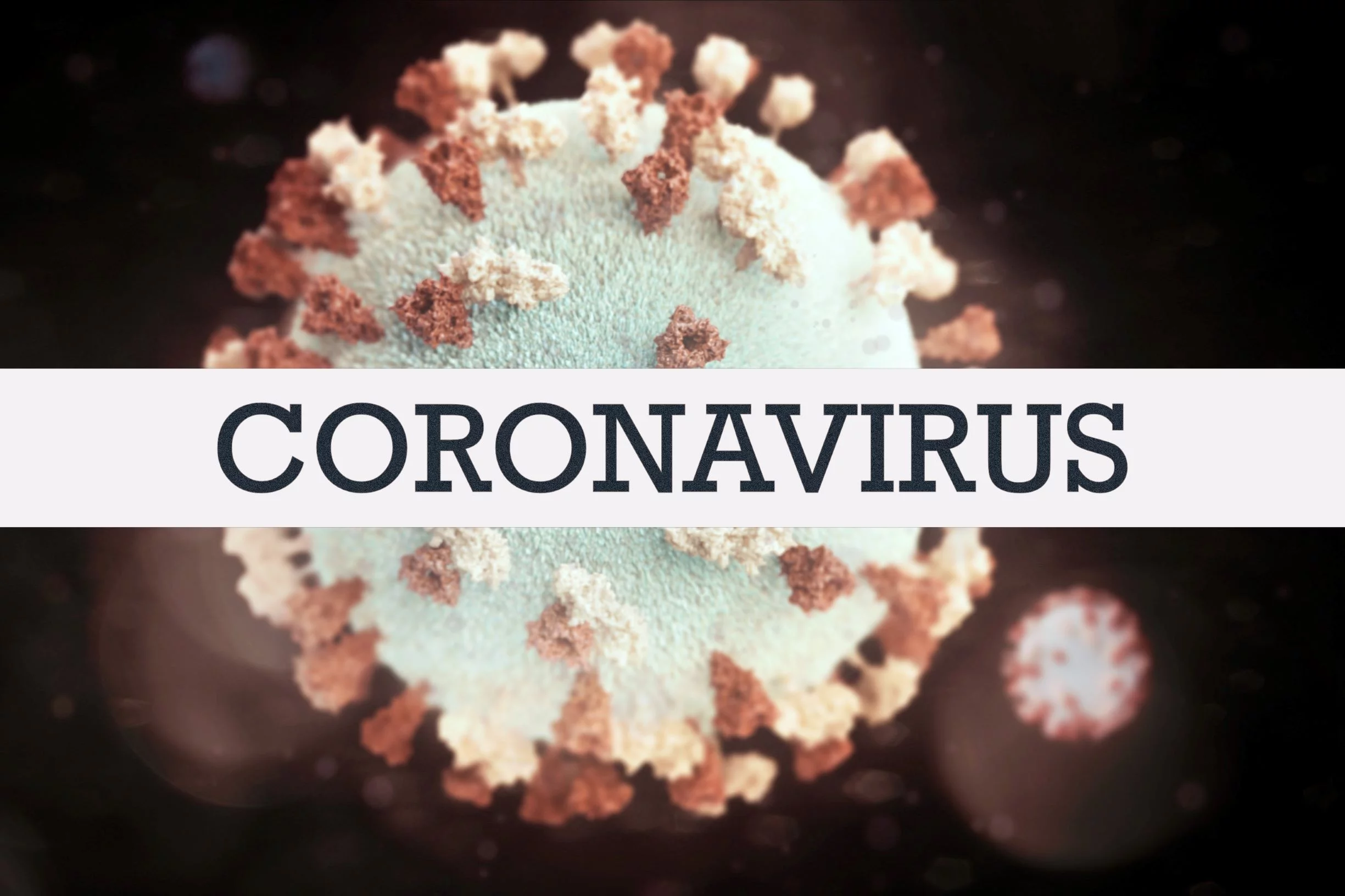 Coronavirus : que dois-je faire ? | Contrepoints Coronavirus : que dois-je faire ? | Contrepoints